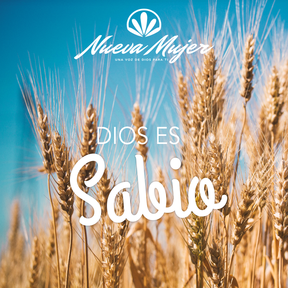 DIOS ES SABIO