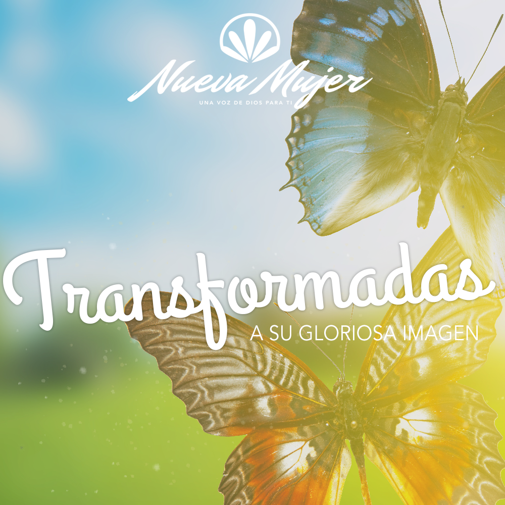 TRANSFORMADAS A SU GLORIOSA IMAGEN